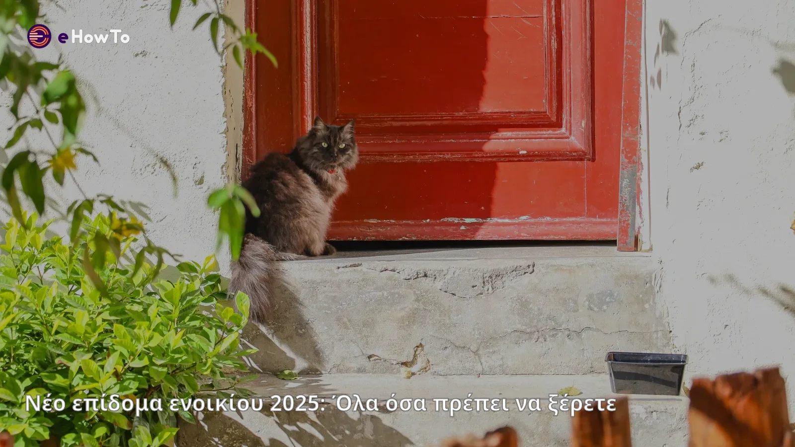 Νέο επίδομα ενοικίου 2025: Όλα όσα πρέπει να ξέρετε