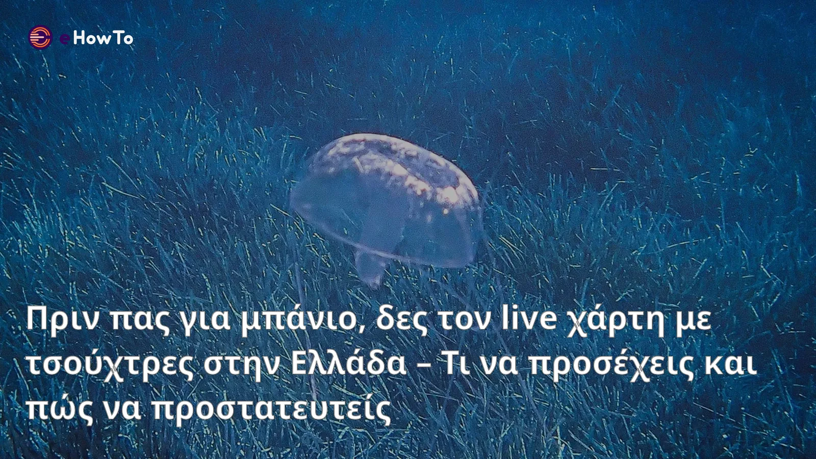 Πριν πας για μπάνιο, δες τον live χάρτη με τσούχτρες στην Ελλάδα – Τι ...